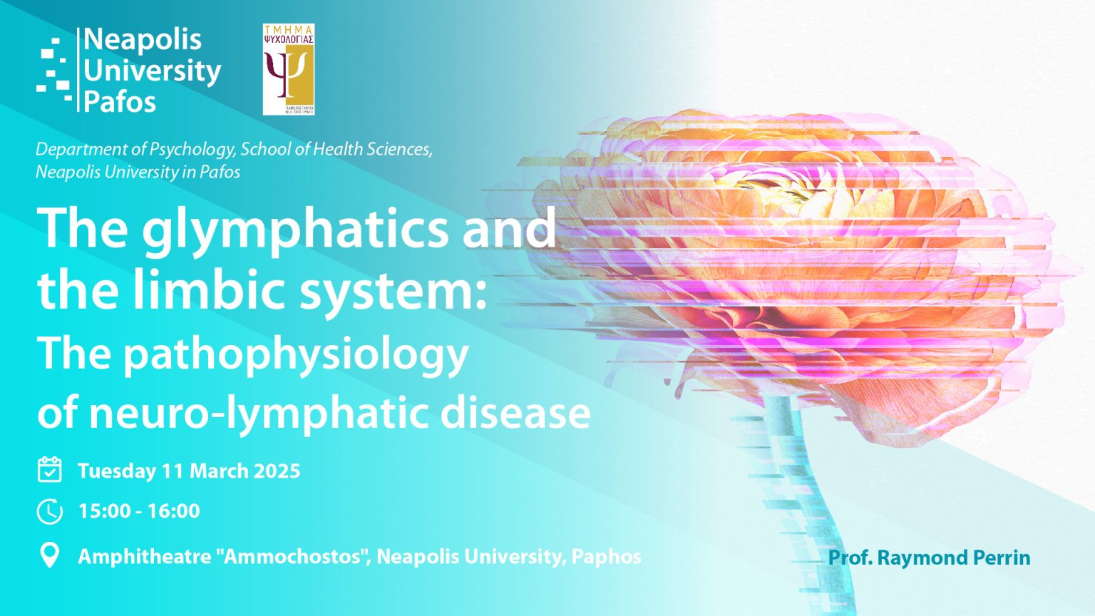 Lecture: The Glymphatics and the Limbic System – The Pathophysiology of ...
